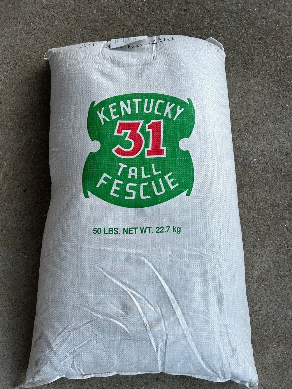 Burlingham Ky 31 Tall Fescue